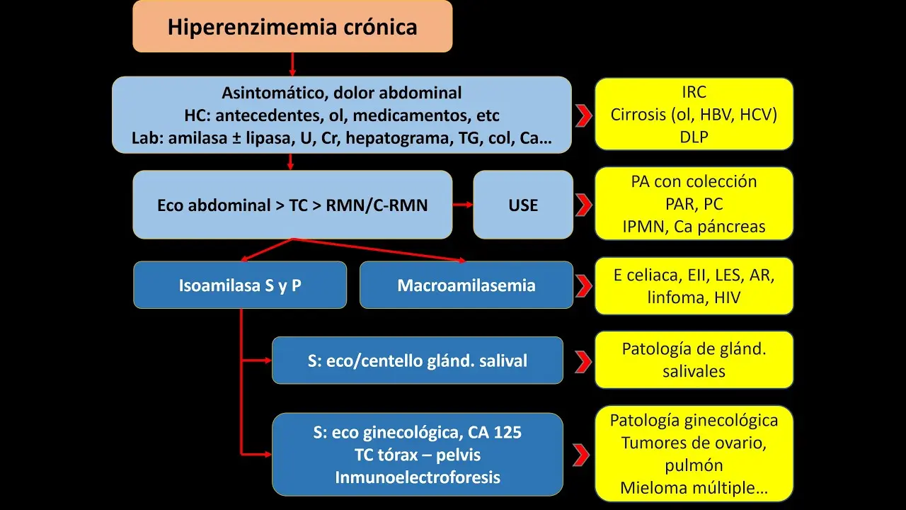 Amilasemia: Causas, Síntomas Y Cómo Bajar Los Niveles | Doctor Online