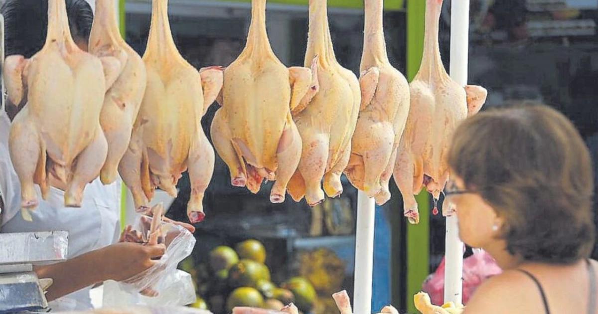 Qué Pasa Si Comes Pollo Crudo: Riesgos Y Cómo Prevenir La Intoxicación ...