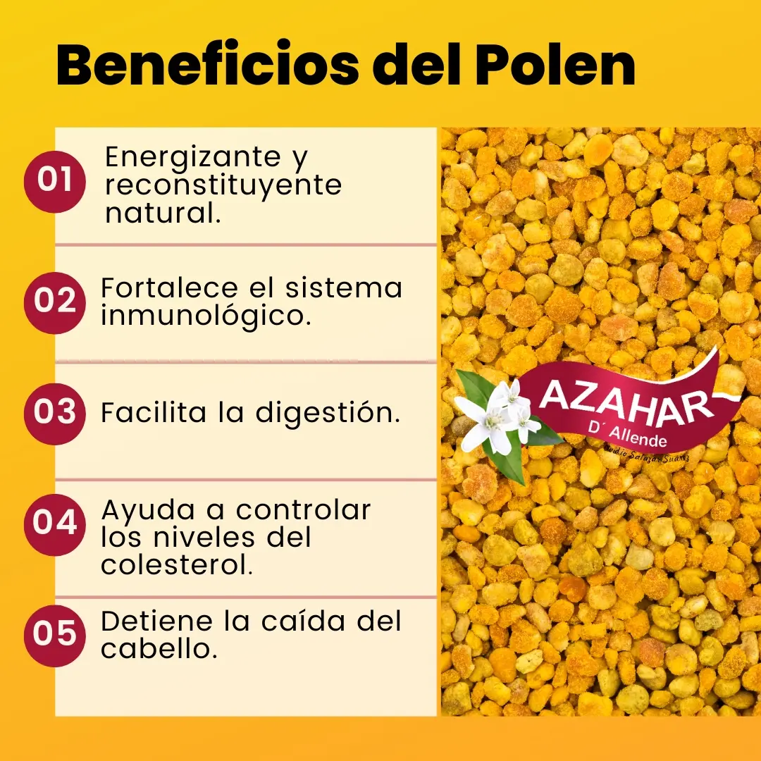Beneficios Del Polen De Abeja: Un Superalimento Para Tu Salud | Doctor ...