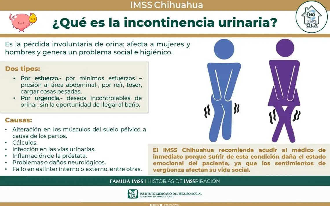 Incontinencia Urinaria Por Problemas Neurológicos: Causas, Síntomas Y ...