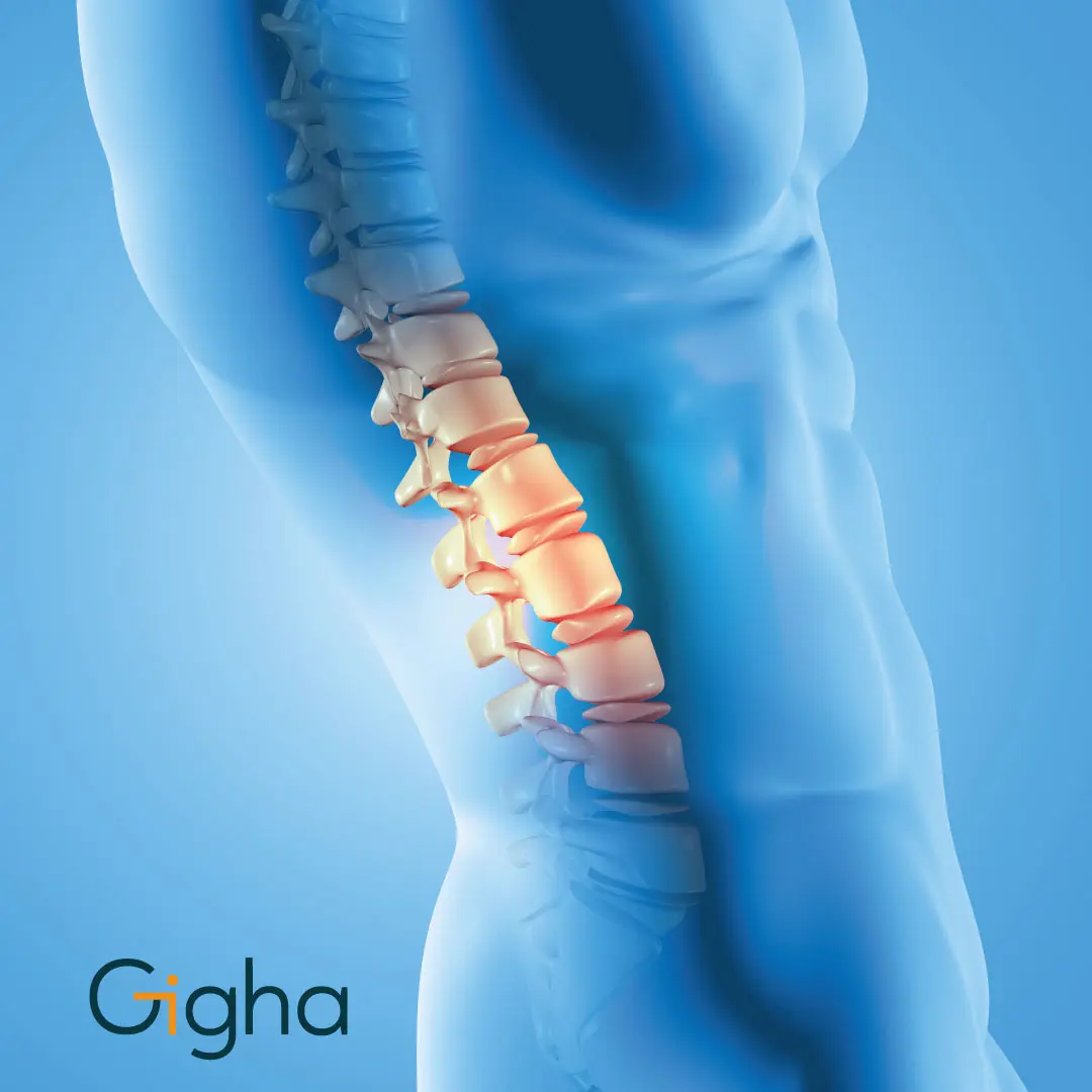 Columna Lumbosacra: Anatomía, Lesiones Y Diagnóstico | Doctor Online