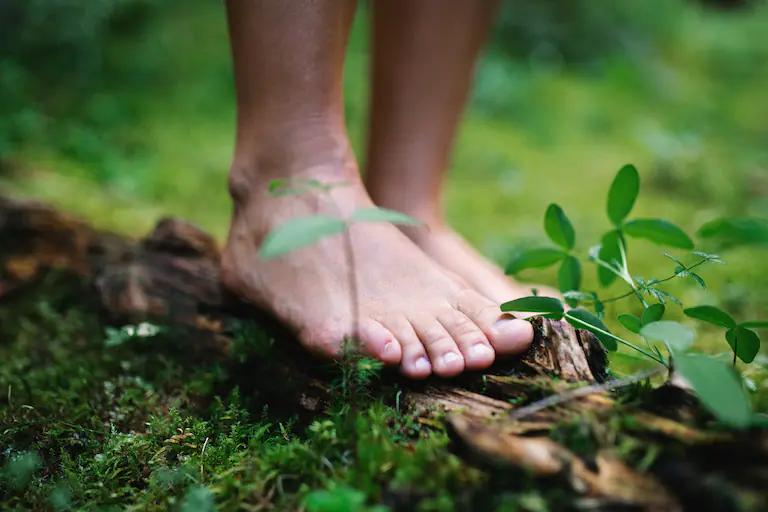 Vitamina N: El Secreto De La Naturaleza Para La Salud Y El Bienestar ...