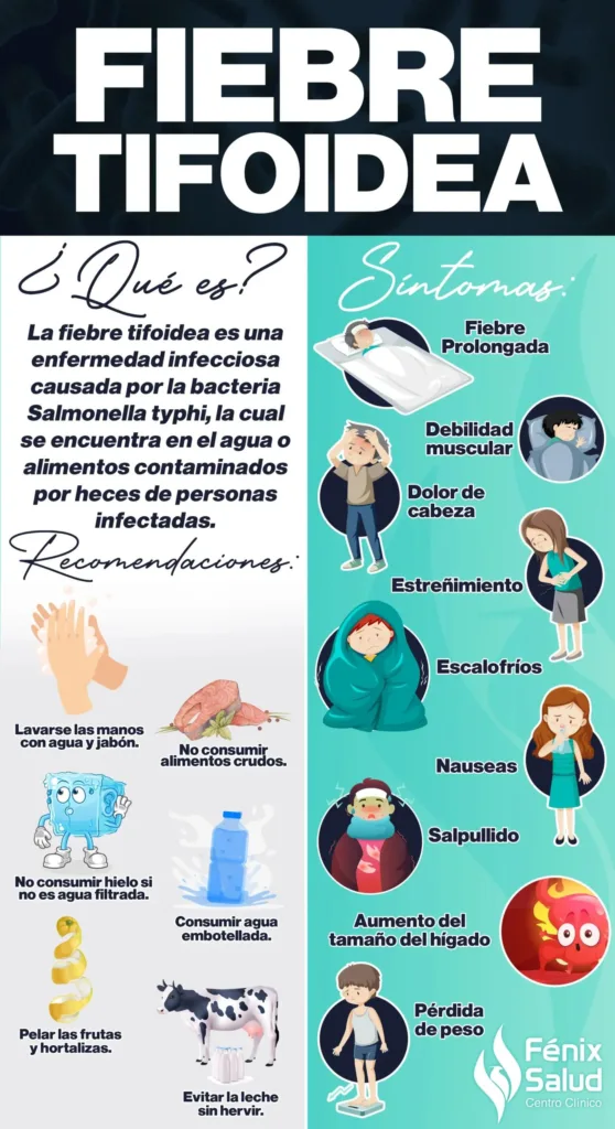 Fiebre Tifoidea: Síntomas, Causas Y Prevención | Doctor Online