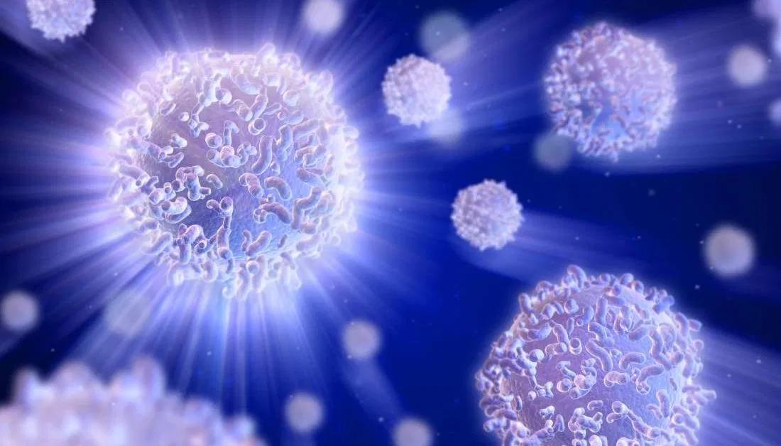 Neutrófilos Segmentados: ¿Qué Son Y Qué Indican En Un Análisis De ...