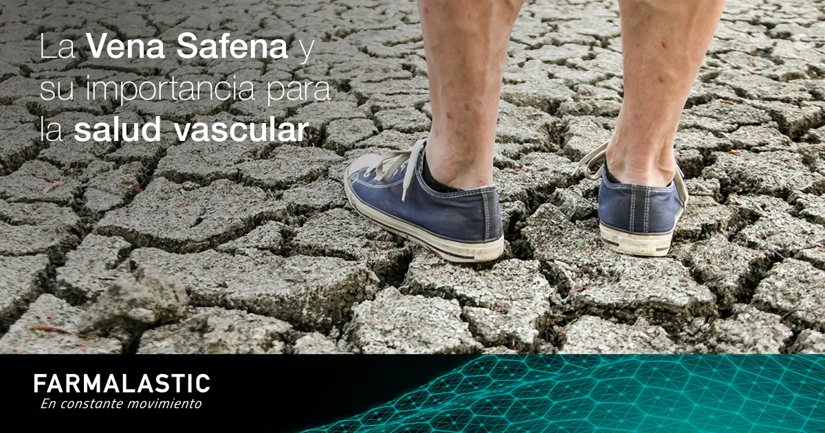 Vena Safena: Función, Problemas Y Tratamientos | Doctor Online