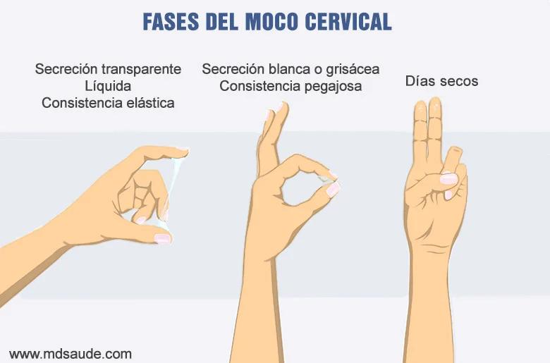 Flujo Blanco Lecchoso: ¿Qué Significa Y Cuándo Preocuparse? | Doctor Online